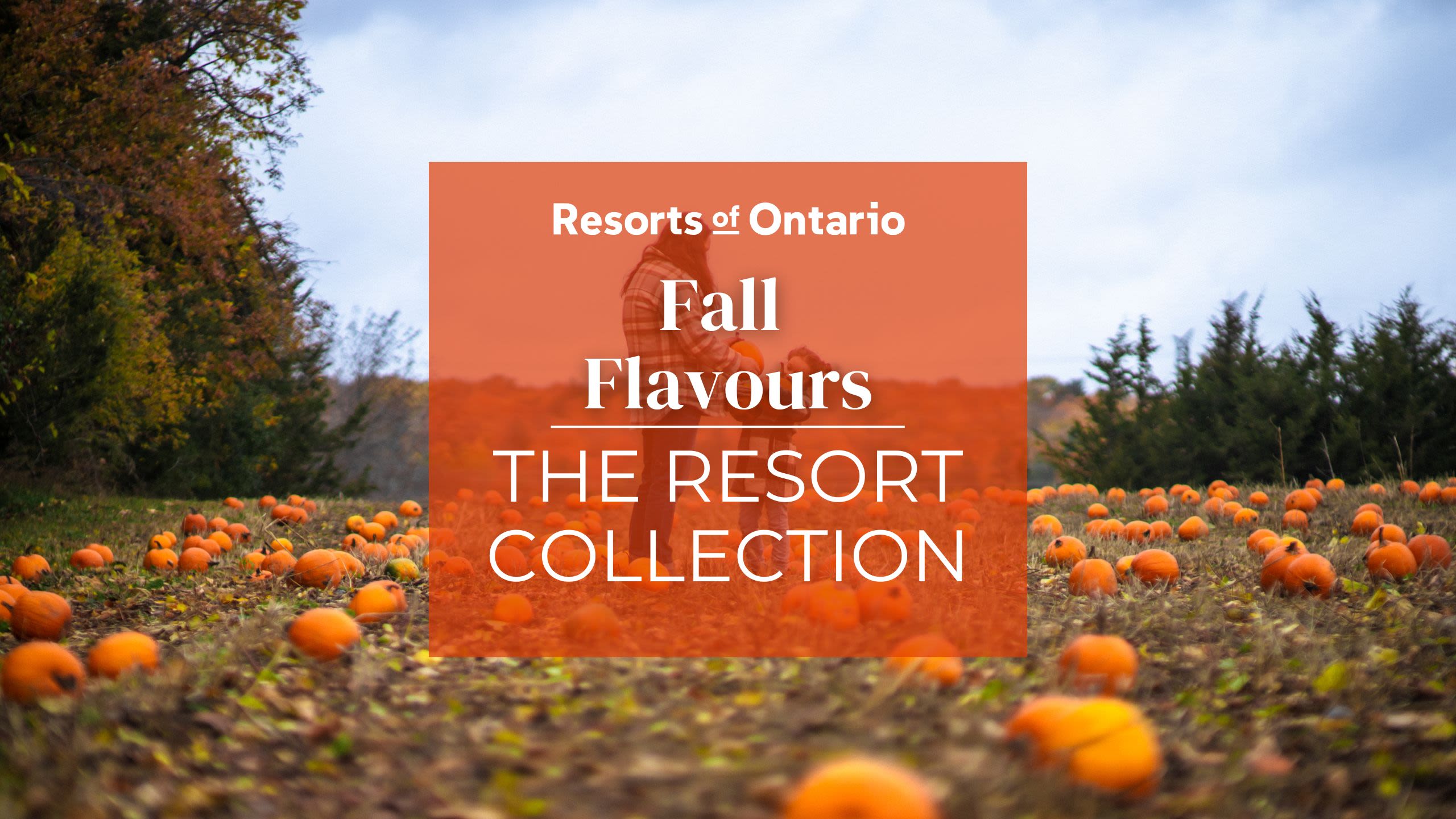 Fall Flavours